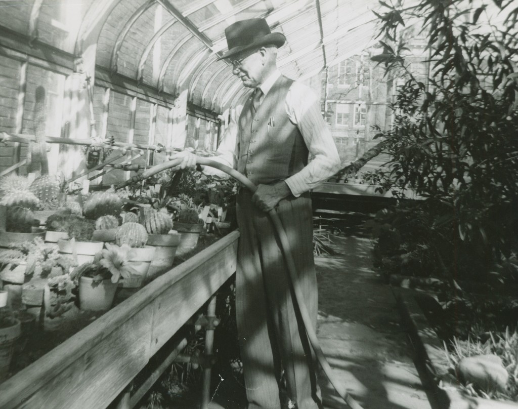 L. A. Kenoyer on Saving Newton Woods | Richard Brewer